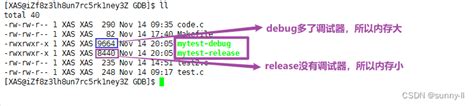 【linux】gdb保姆级调试指南（什么是gdb？gdb如何使用？）gdb教程 Csdn博客