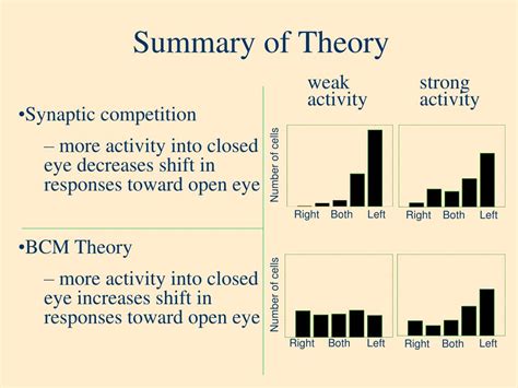 Ppt The Bcm Theory Of Synaptic Plasticity Powerpoint Presentation