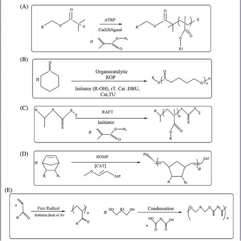 5 Examples Of Some Important Synthetic And Natural Cationic Polymers Download Scientific