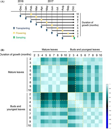 Transcriptome Correlations Pearson Correlation Coefficient Of Mature Download Scientific
