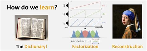 Factor Fields And Beyond