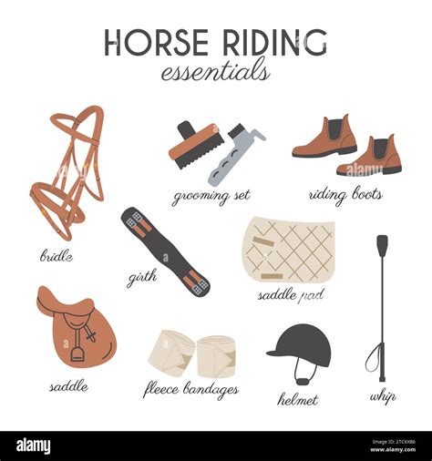 Horse Riding Essentials Trendy Square Card Equestrian Equipment Vector