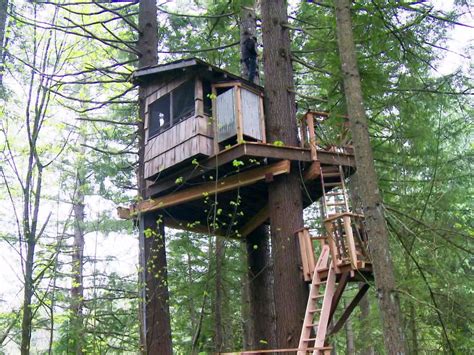 Prime Video Treehouse Masters Season 4