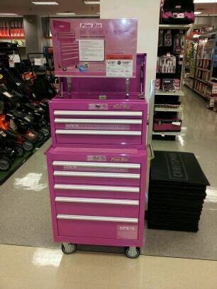 Pink Craftsman Tool Box