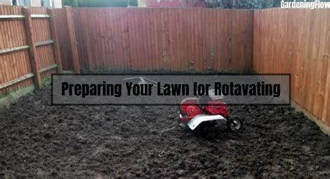 Grass Removal Vs Rotavating Which Is Best For Your Lawn Gardening Flow