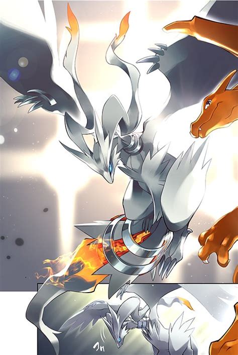 전설환상 포켓몬 봇 On Twitter In 2020 Anime Art Poking