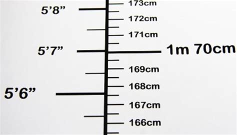 Height Converter Convert Cm Feet And Inches Instantly