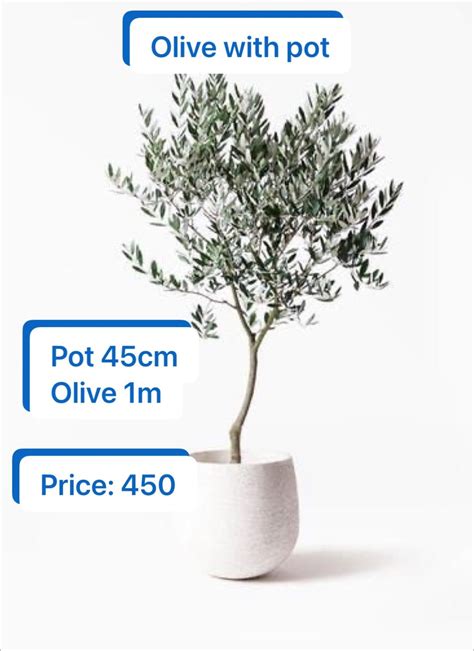 Muhammad Imran Posted On Linkedin