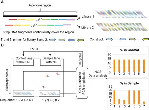 Figure 1 From Coupling High Throughput Mapping With Proteomics Analysis Delineates Cis