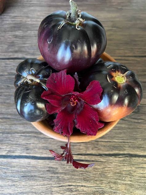 Understanding The Growth Determinate Vs Indeterminate Plants