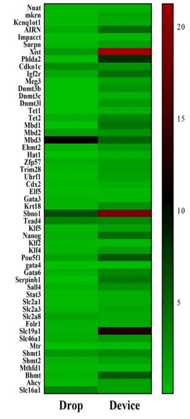 Heatmap Representing Gene Expression Of Mouse Blastocysts Cultured In Download Scientific