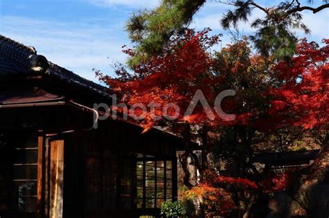 田舎の秋 No 27650187写真素材なら写真AC無料フリーダウンロードOK