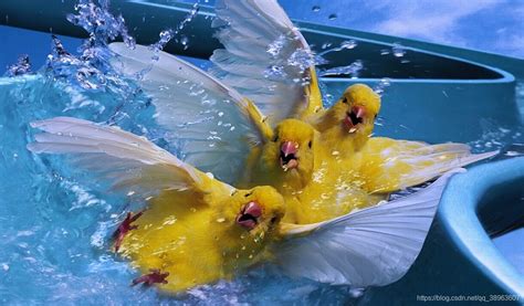 Matlab与python编程语言的异同（1）matlab和python语言相似吗 Csdn博客