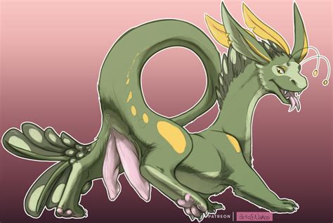 Rule 34 2019 Animal Genitalia Animal Penis Diphallia Diphallism