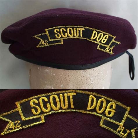 Photo Of 101st Airborne Scout Dog Patch Army And Usaaf Us