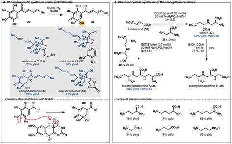 Recent Advances In The Chemoenzymatic Synthesis Of Bioactive Natural