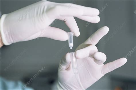 Forensic DNA Analysis Stock Image H Science Photo Library