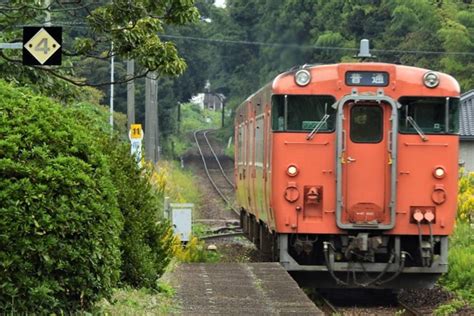黒部峡谷鉄道、2024年の全線運行「断念」黒部ルート一般開放も2025年以降に 鉄道ニュース【鉄道プレスネット】