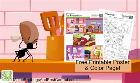 Simple Steps To Prevent Ants In Your Home Maine Bed Bugs And Pest Control