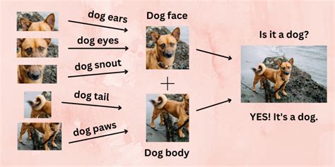 Step By Step Building Your First Convolutional Neural Network Askpython