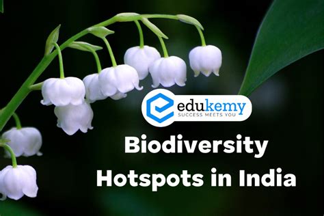 Biodiversity Hotspots In India Upsc Environment Notes