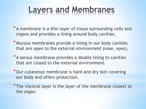 The Integumentary System Pptx