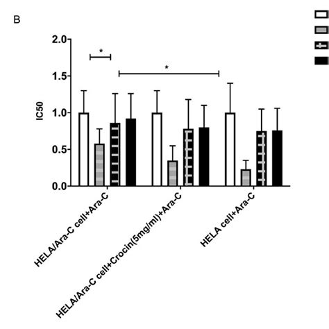 A Quantitative Rt Pcr Results Demonstrated That Mirna 181a Was Download Scientific Diagram
