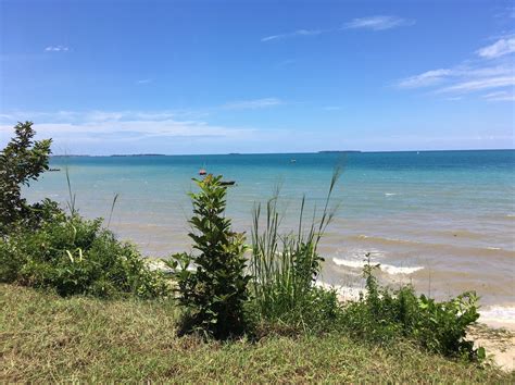 2023年12月bububu旅游景点攻略 Bububu旅游住宿 Bububu旅游美食 猫途鹰