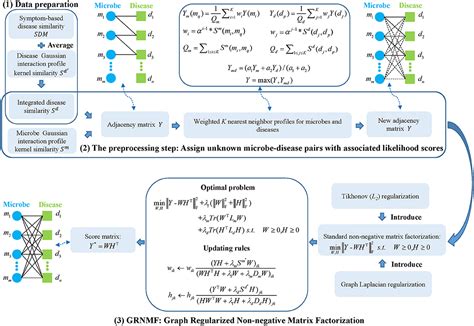 Human Microbe Disease Association Prediction With Graph Regularized Non Negative Matrix