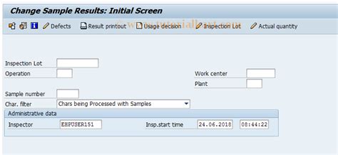 QE SAP Tcode Change Sample Results