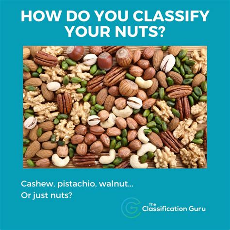 Susan Walsh On Linkedin Classification Procurement Spendmanagement