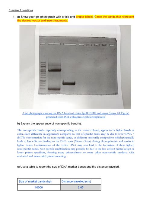 Lifs 3110 Lab Ex 1 Lab Exercise Exercise 1 Questions 1 A Show Your Gel Photograph With A