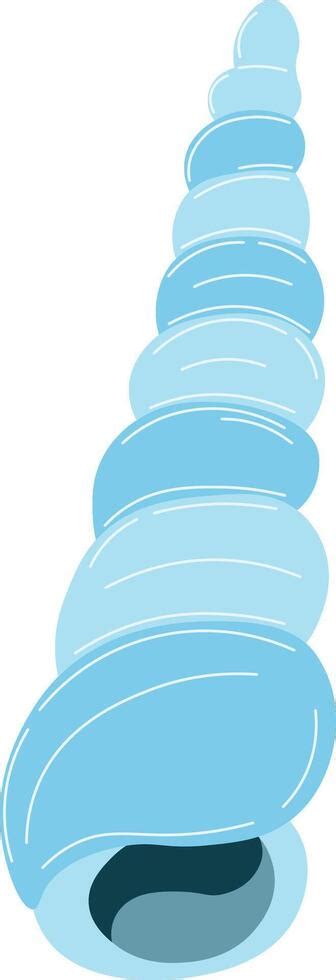 Coastal Shell Design Elements 53825619 Vector Art At Vecteezy