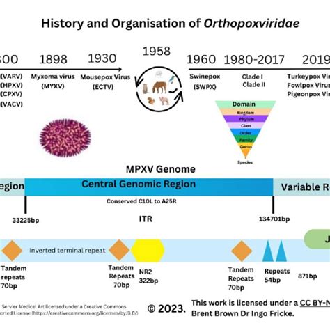 Monkeypox Virus Genome Download Scientific Diagram