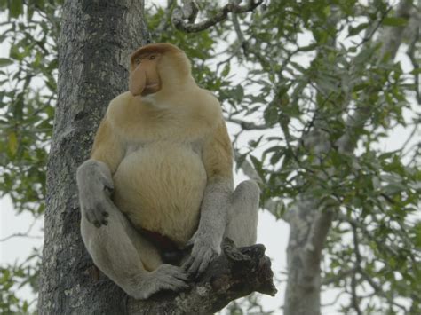 Prime Video Wildest Survival Season 1