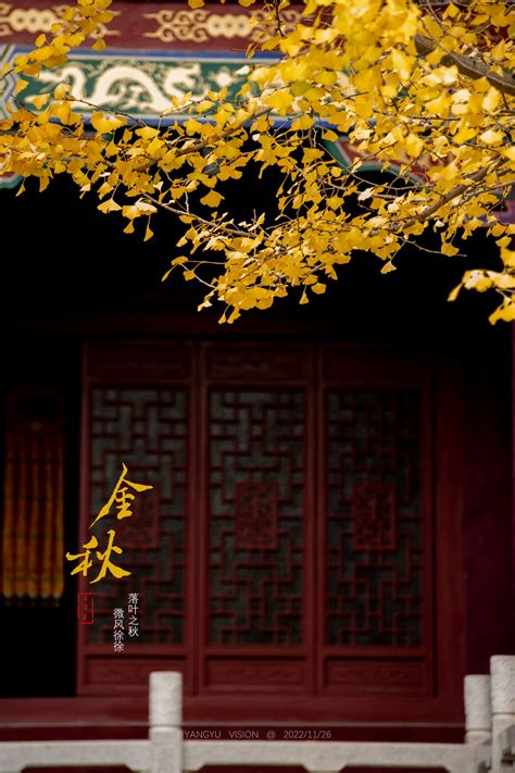 秋末冬初 摄影图片风光摄影 太平洋电脑网摄影部落