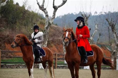 冬天你想和誰睡裸心谷Who do you want to embrace naked Stables with 每日頭條