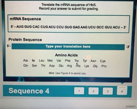 Solved Translate The Mrna Sequence Of Hbs Record Your