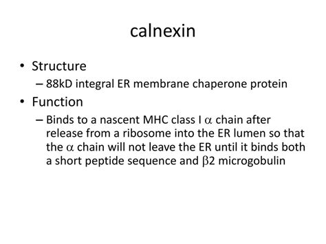 Antigen Processing And Presentation Dr M S A Muthukumar Nadar