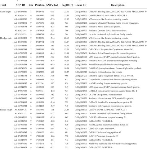Table 1 From Development Of An Inclusive 580k Snp Array And Its