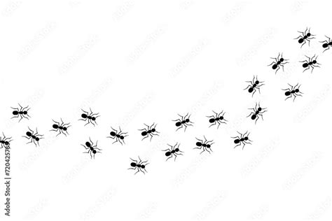 Ants Marching Across Screen Stock Vector Adobe Stock