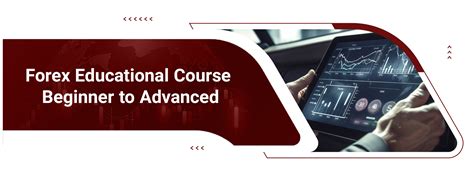 Forex Trading Tutorials From Beginner To Advanced Stp Trading