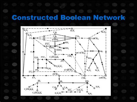 Ppt Modeling Genetic Network Boolean Network Powerpoint Presentation
