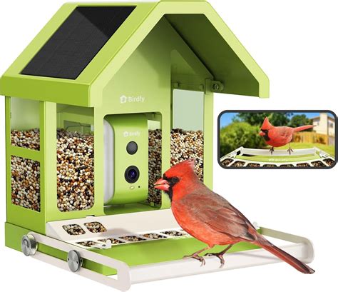 Ai Powered Bird Feeder And Camera Identify 6000 Birds Gearmusthave