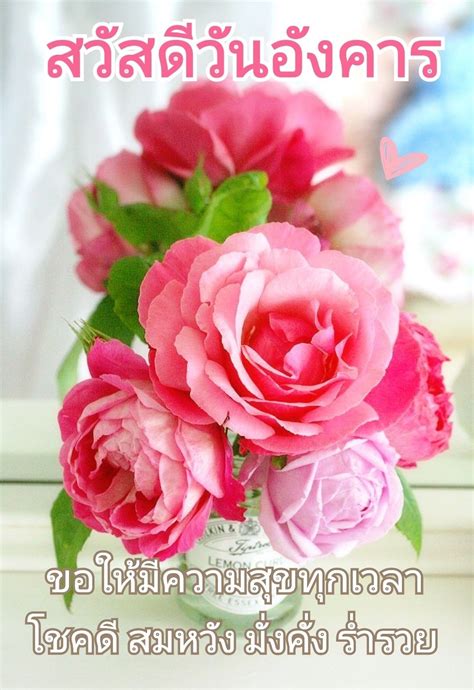 ไอเดีย สวัสดีวันอังคาร Tuesday 900 รายการ อรุณสวัสดิ์ วันอังคาร ดอกไม้