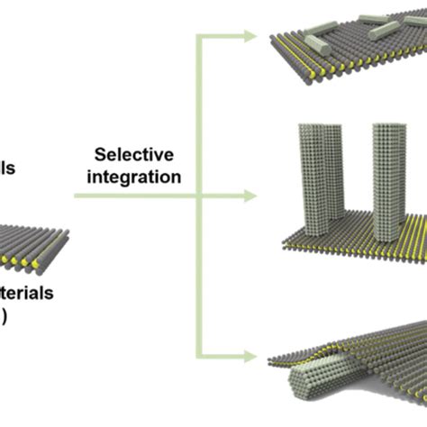 Configuration Of 2d1d Mixed Dimensional Heterostructures Type A
