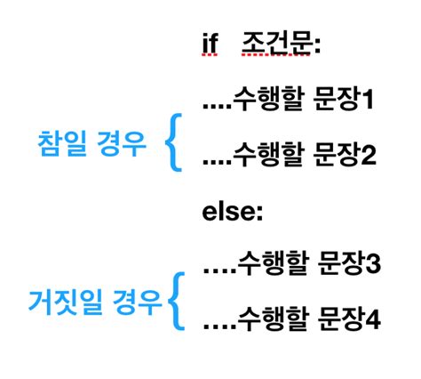 Coding 익히기 if 조건문 중학 수학 코딩의 정석