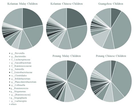 Pie Charts Showing The Relative Download Scientific Diagram
