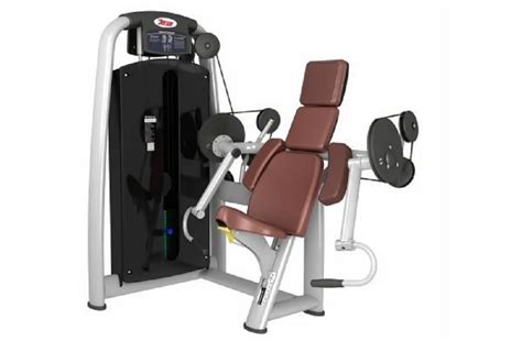 Kaya Arm Curl Machine For Gym Model Name Number Int A 07 At 60000 Unit In Mumbai