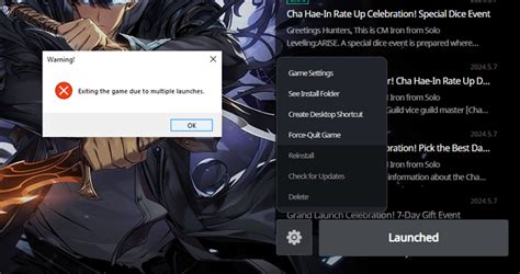 Launcher Bug Rsololevelingarise